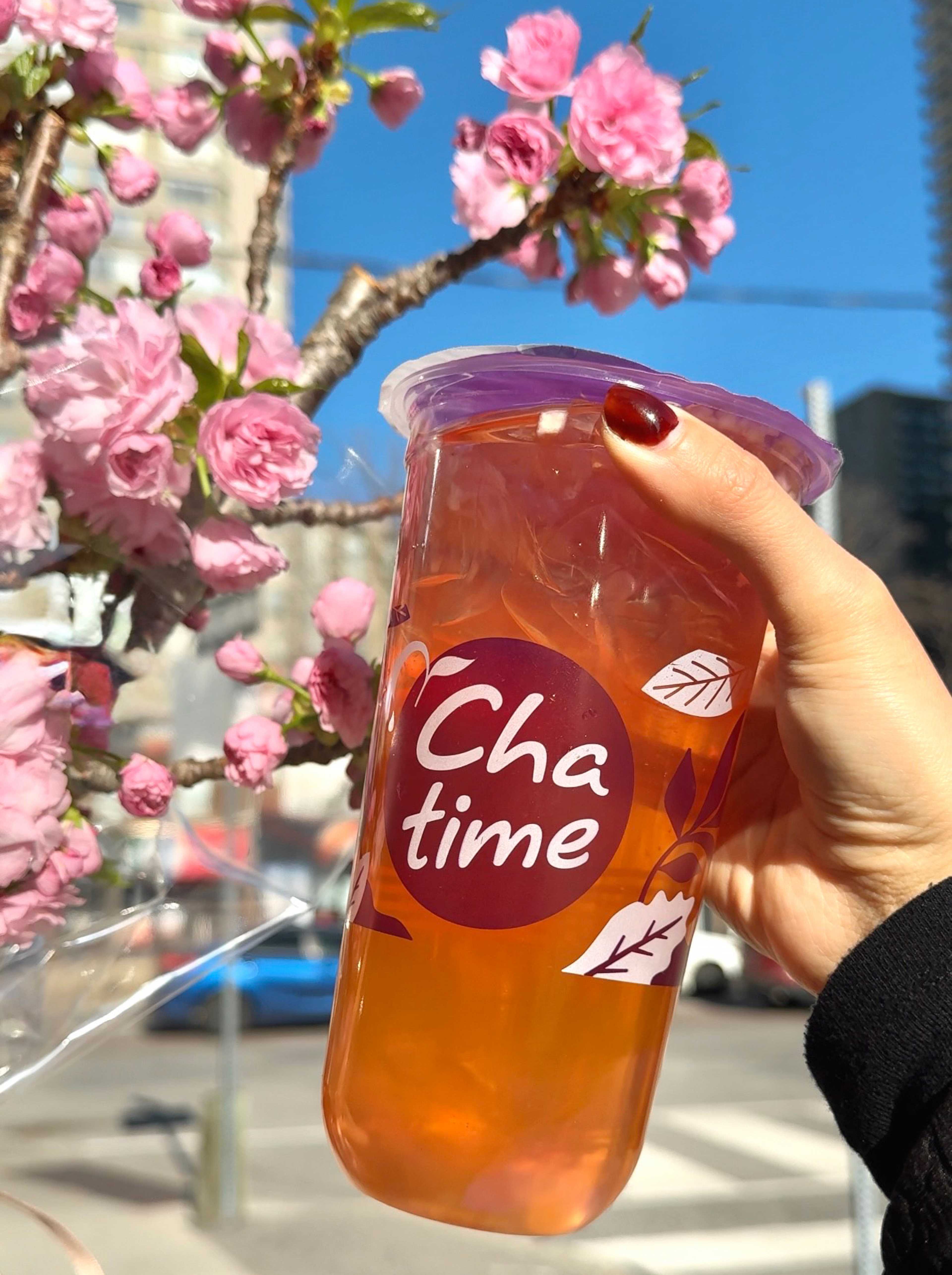 Everything you wish you knew about bubble tea | Foodism CA