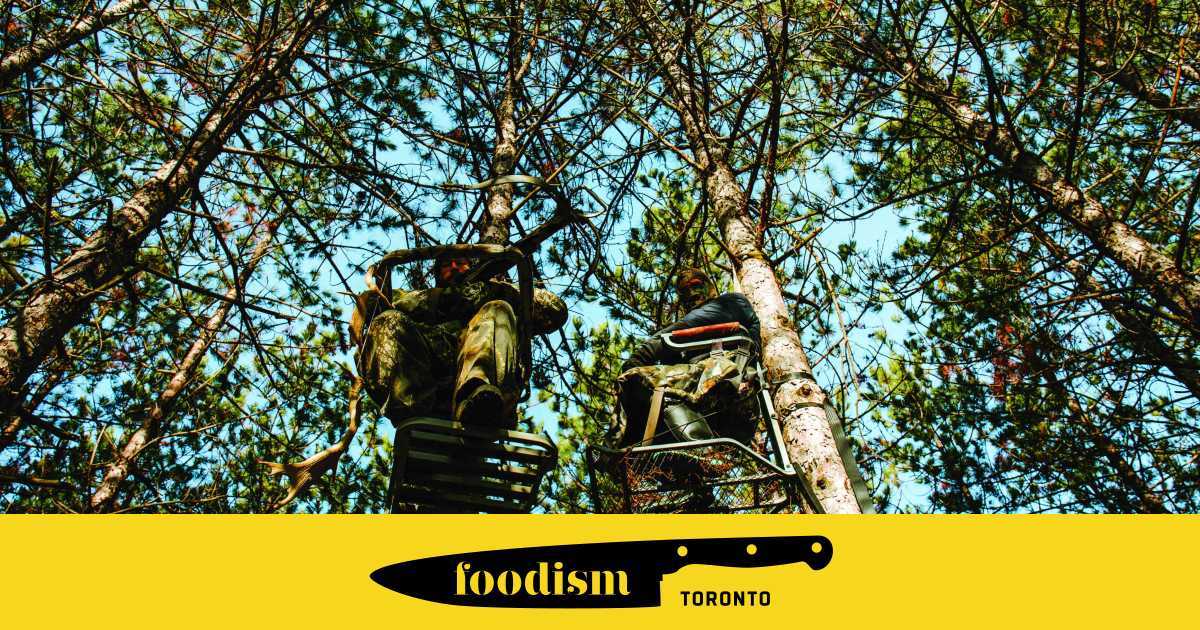 In the woods with chef Michael Hunter | Foodism CA