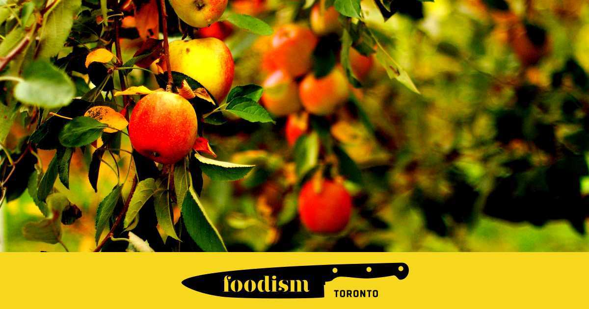 Drink review: Reinhart's Red Apple Light Cider | Foodism CA