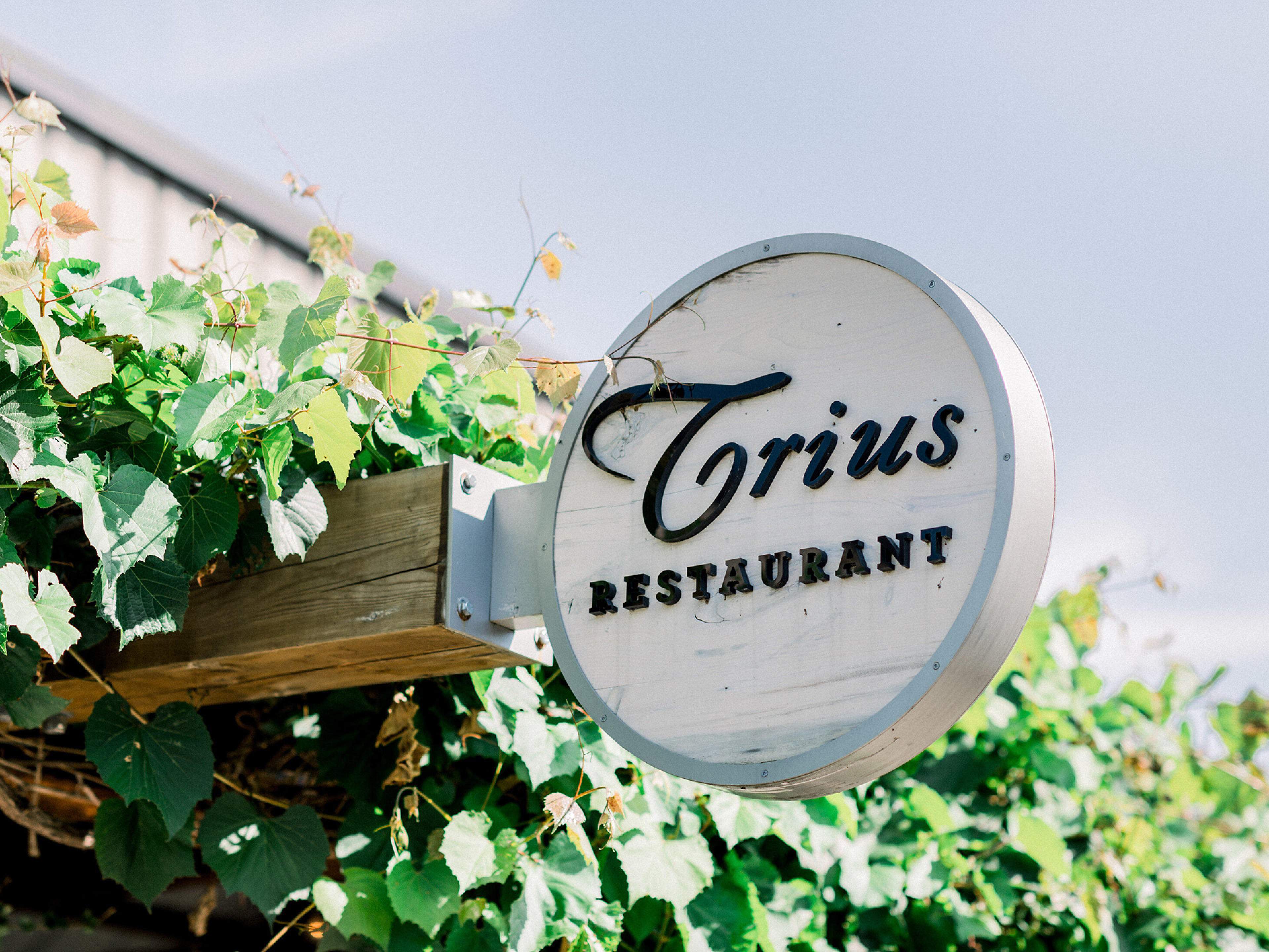 Trius Winery and Restaurant is a must-visit | Foodism CA